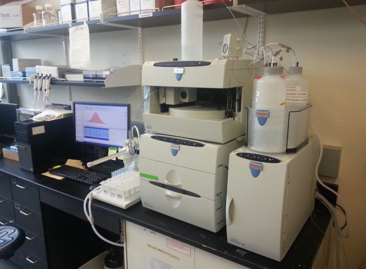 Dionex HPAE-PAD | Barile Lab